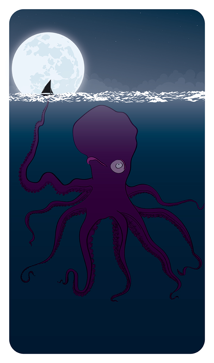 Octopus | Jeff Haynes